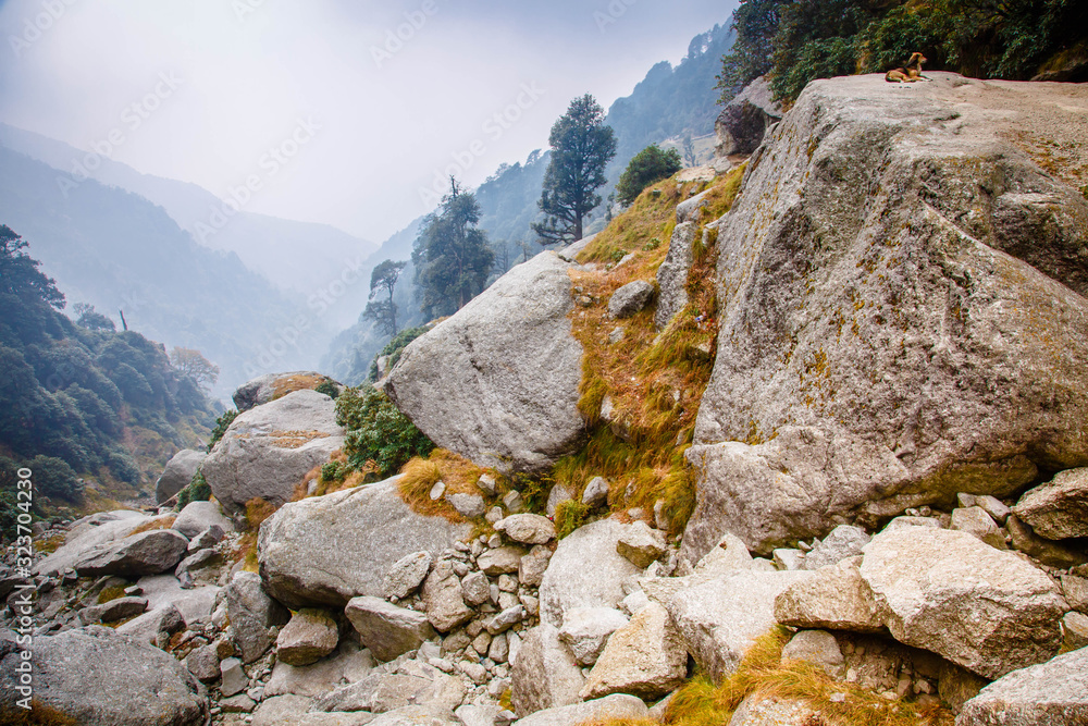 Indian magic Himalayas mountains in Dharamshala Treck to Triud ...