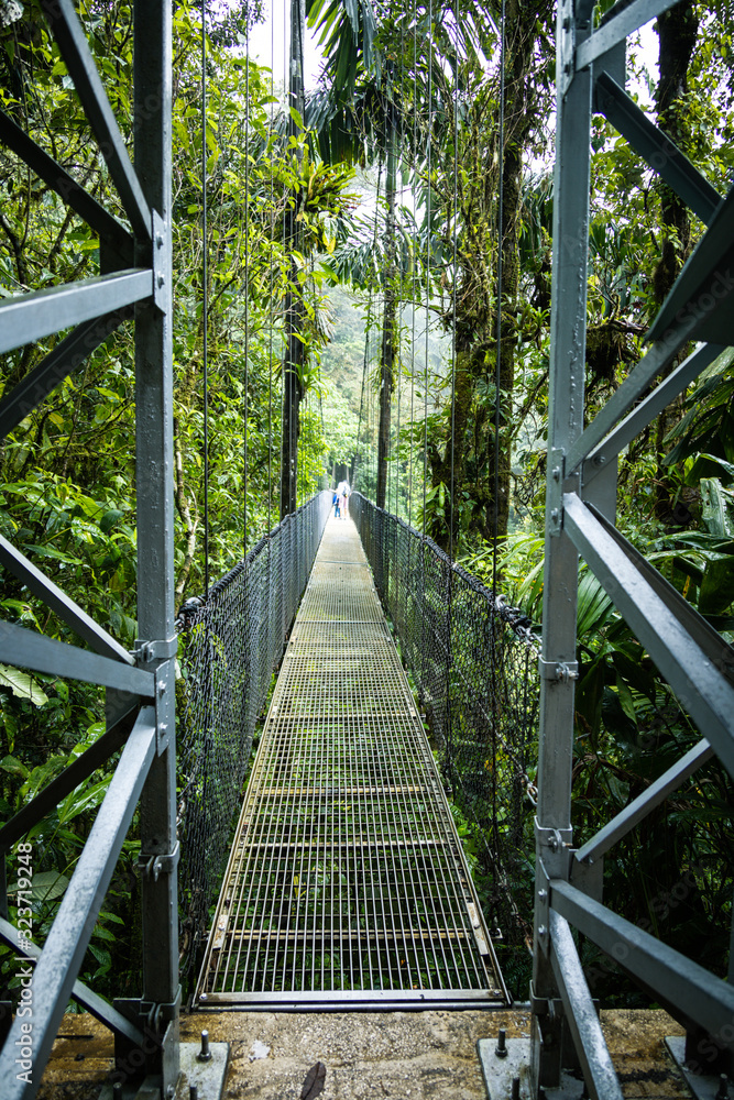 Wide angle shot of the beginning of a hanging bridge in Costarica ...