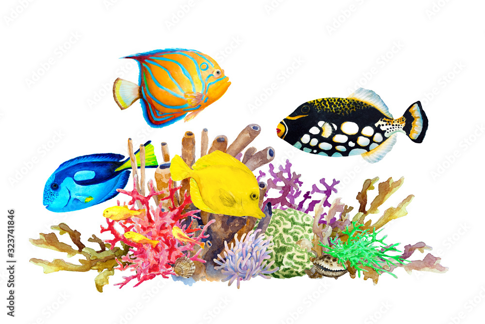Coral Reef Fish Clipart Backgrounds