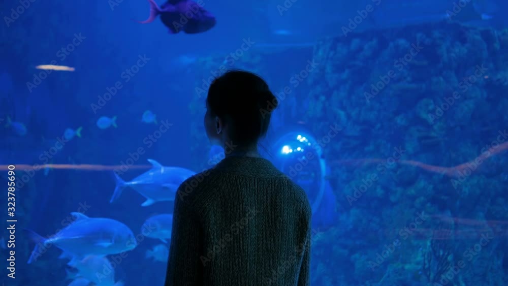 Woman silhouette looking at fish in large public panoramic aquarium ...