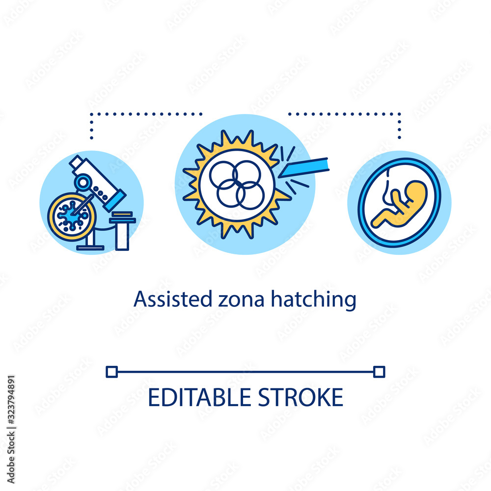 Assisted zona hatching concept icon. Fetus development. In vitro ...