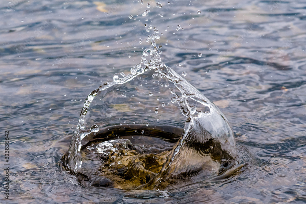 Lake Water Splash