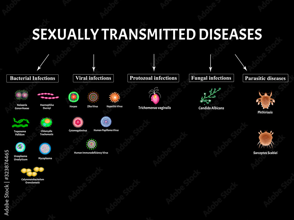 Syphilis Bacteria Diagram