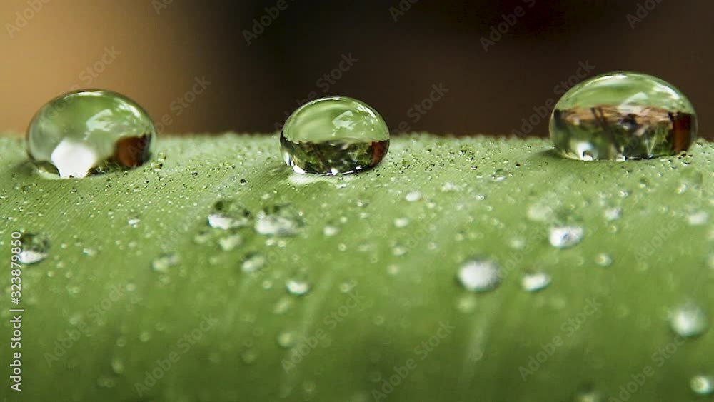 Water droplets and condensation of water droplets and condensation of ...