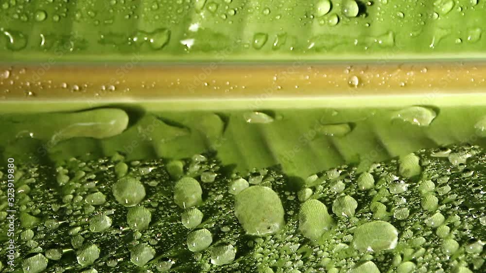 Water droplets and condensation of water droplets and condensation of ...