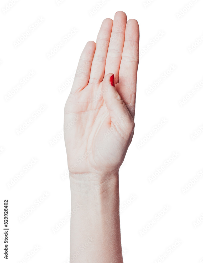 Hand spelling letter b in American Sign Language on white background ...
