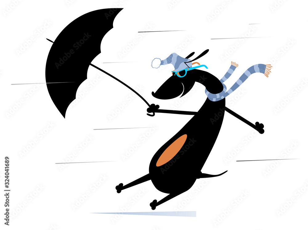 Windy day and a dog with umbrella illustration. Cartoon dachshund with ...