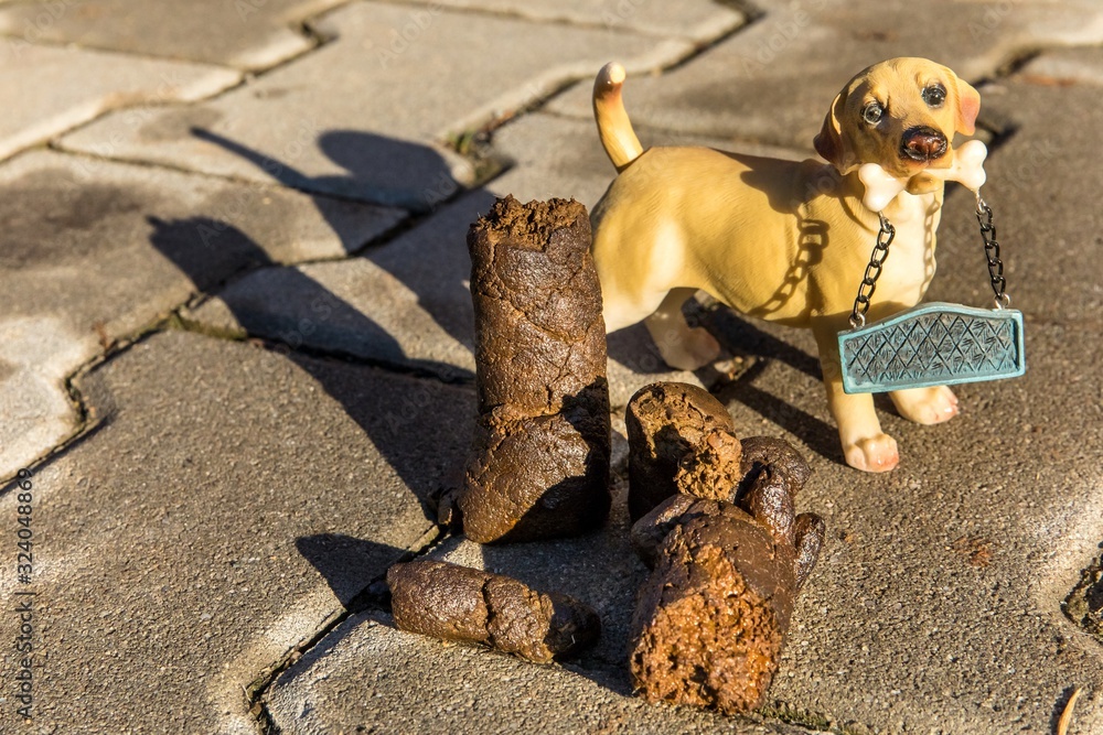 Excrement dog on floor. Shit on the street. Shit of dog on the street ...