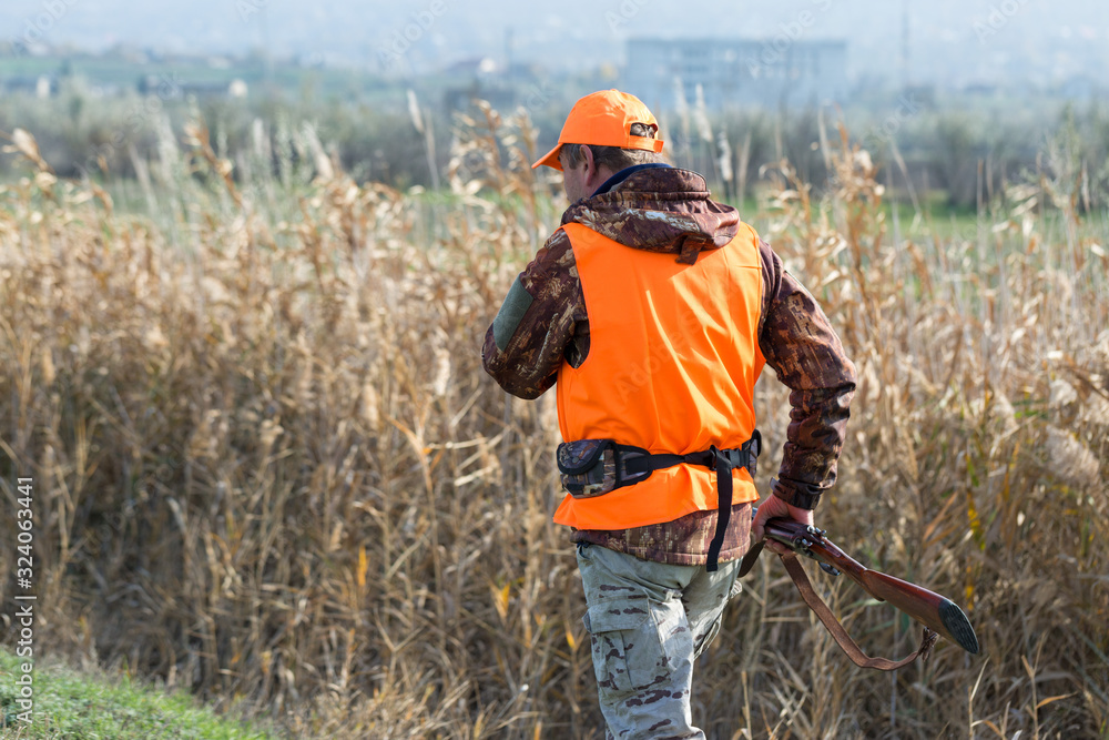 A man with a gun in his hands and an orange vest on a pheasant hunt in ...
