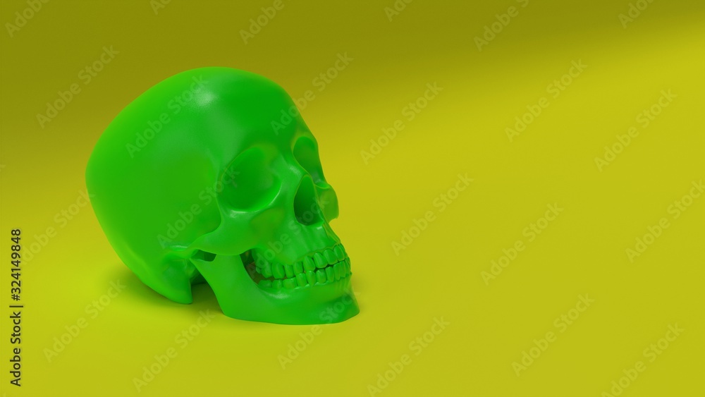 high poly anatomically correct render of human skull Stock Illustration ...