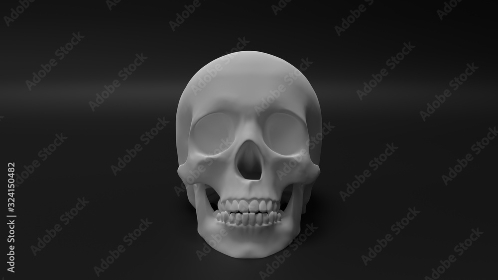 high poly anatomically correct render of human skull Stock Illustration ...
