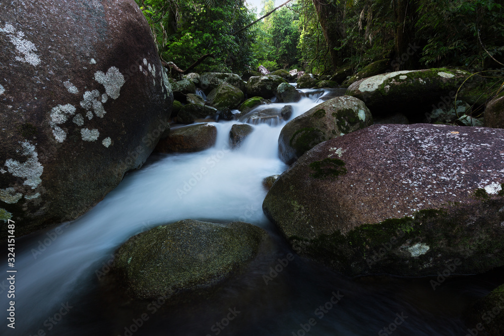 Lush rainforest stream and flowing water cascades in Queensland ...