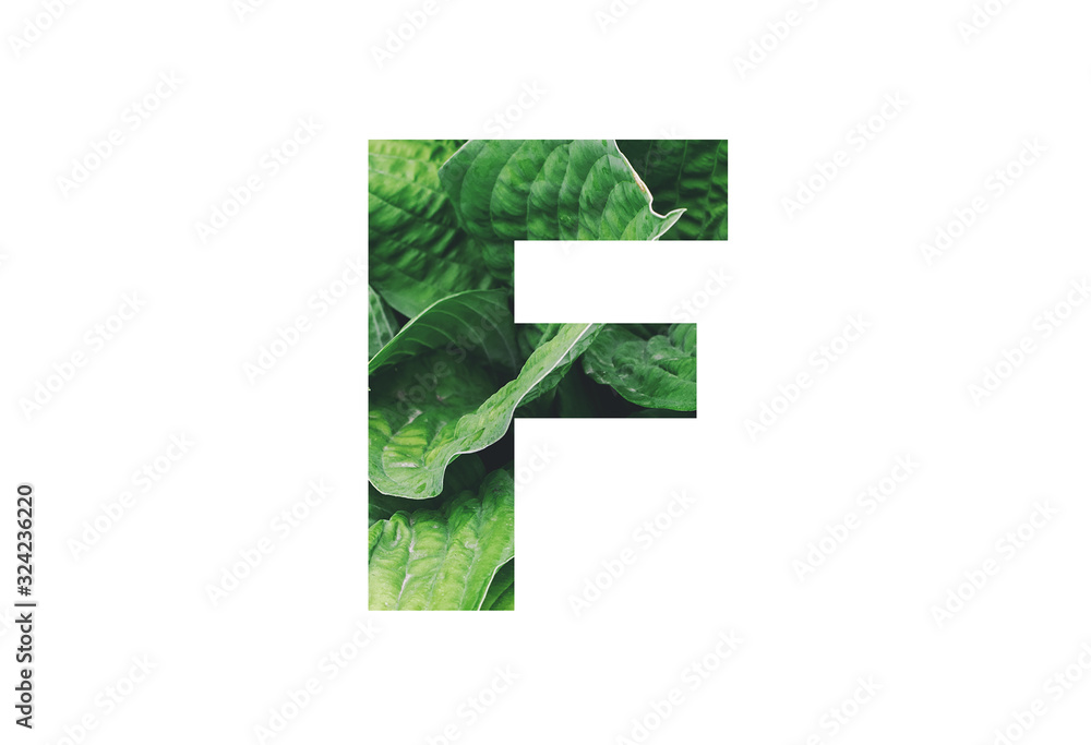 Letter '' f '' alphabet made of real leaves. Illustration of flora ...