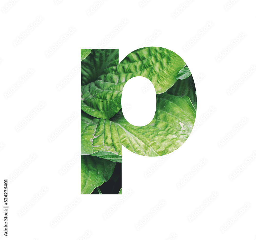 Letter ''p'' alphabet made of real leaves. Illustration of flora ...