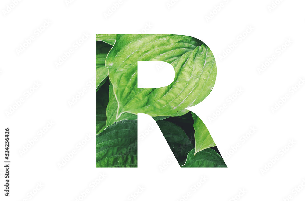 Letter ''r'' alphabet made of real leaves. Illustration of flora ...