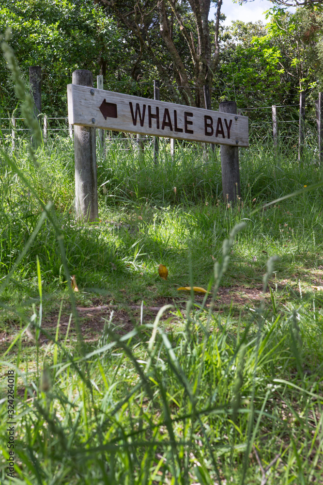 Matapouri Tutukaka New Zealand coast Sign Whale Bay Stock Photo | Adobe ...