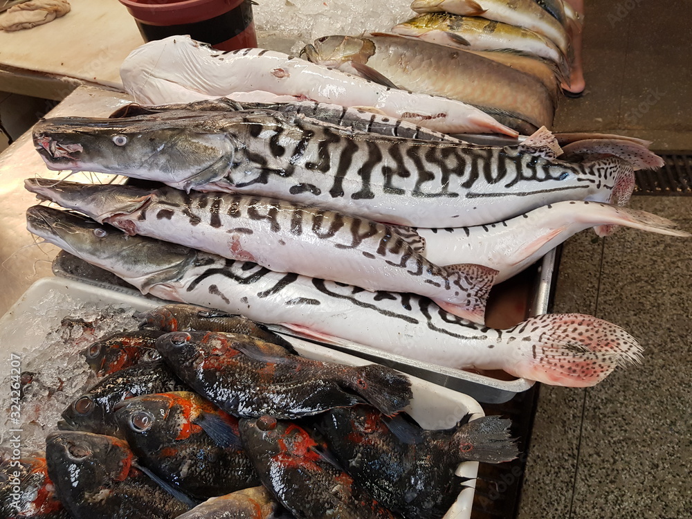 Surubi (Pseudoplatystoma tigrinum) divided into portions in the fish ...