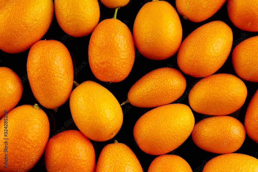 Kumquat , small oval citrus fruits, nagami variety Stock Photo | Adobe ...
