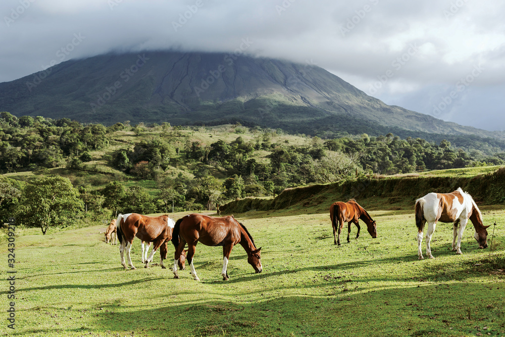Arenal Volcano Stock Photo | Adobe Stock