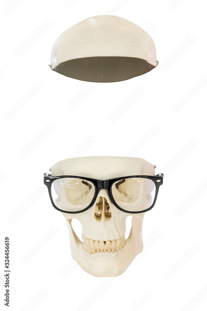 Empty nerd skull without brain wearing eyeglasses. Top of skull ...