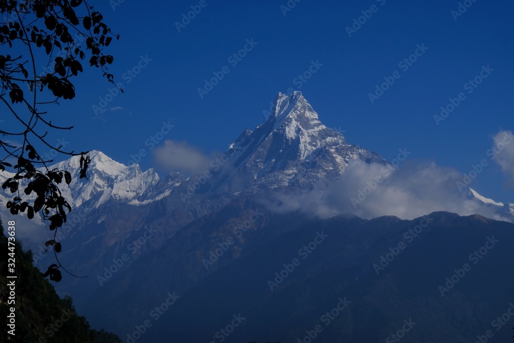 Beautiful view of peak Machhapuchhare (named Fish Tail) in frame of ...