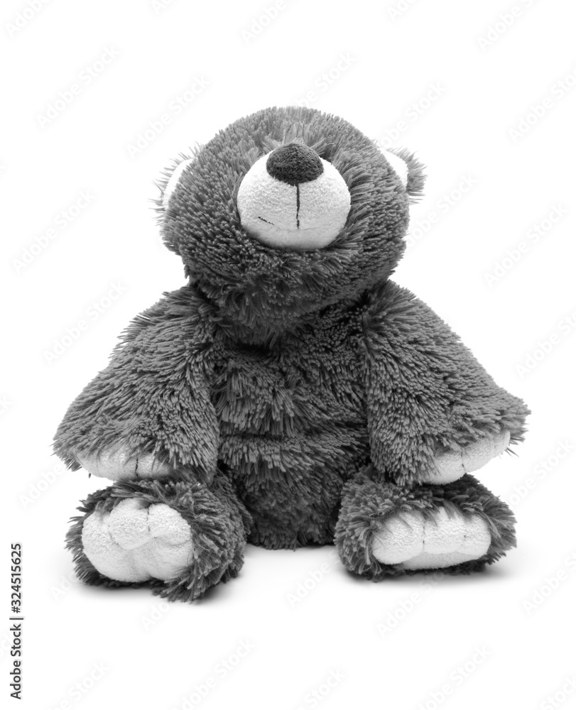 Cute gray bear. The toy is soft. Plush. Muzzle. Ears of paws and head ...