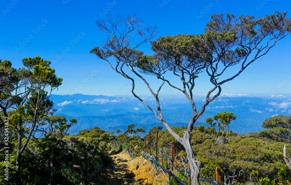 Beautiful trail to the summit of Mount Kinabalu, Sabah, Malaysia. Mount ...