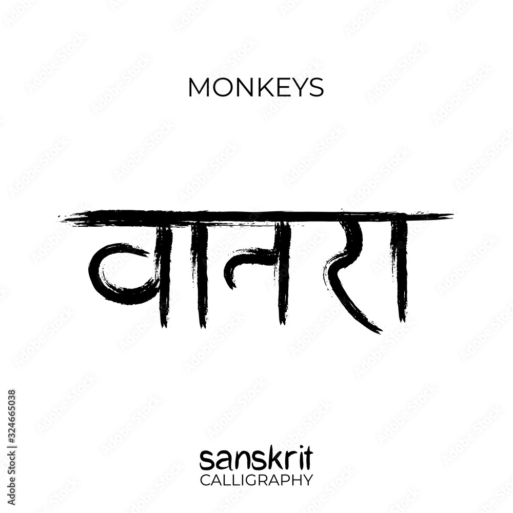Sanskrit Calligraphy font translation: monkey, ape, simian, copycat ...