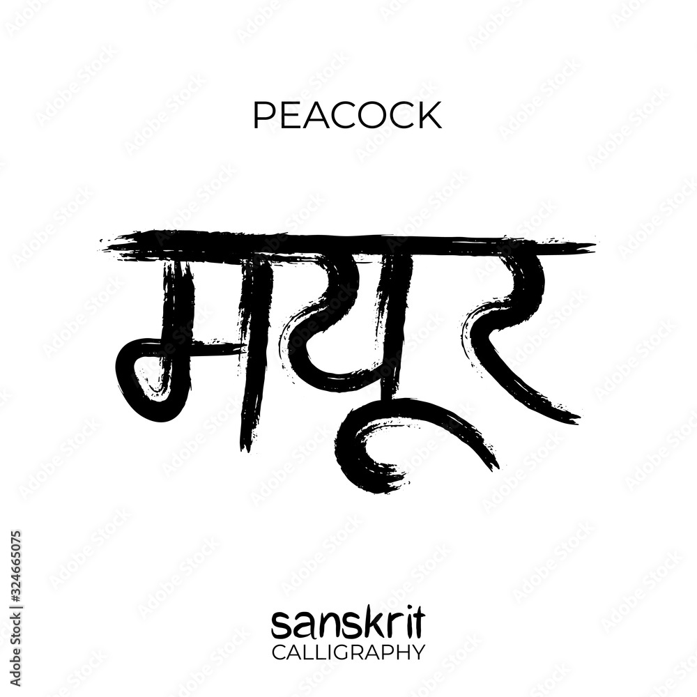 Sanskrit Calligraphy font translation: peacock, peafowl. Indian grunge ...