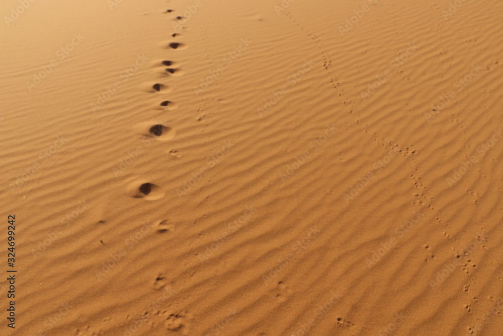 sand texture - background of desert sand dunes. Beautiful structures of ...