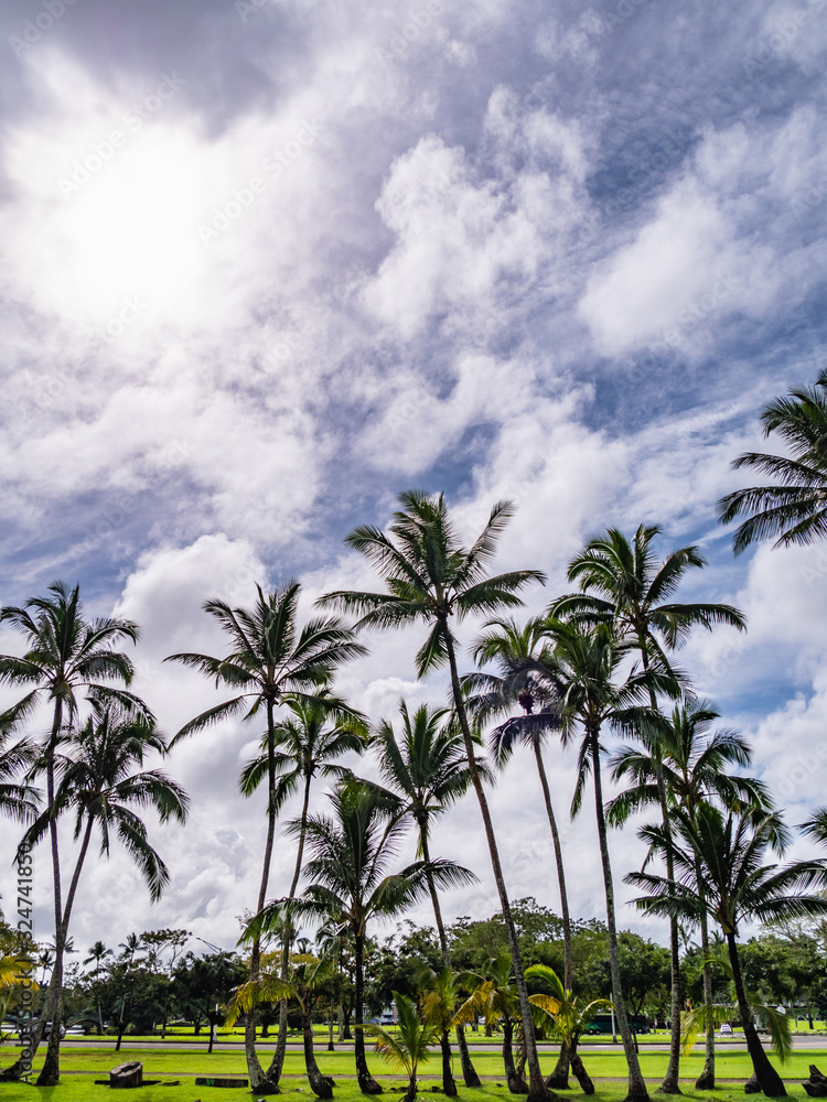The Wailoa River State Recreation Area is a park in Hilo, on Hawaiʻi ...