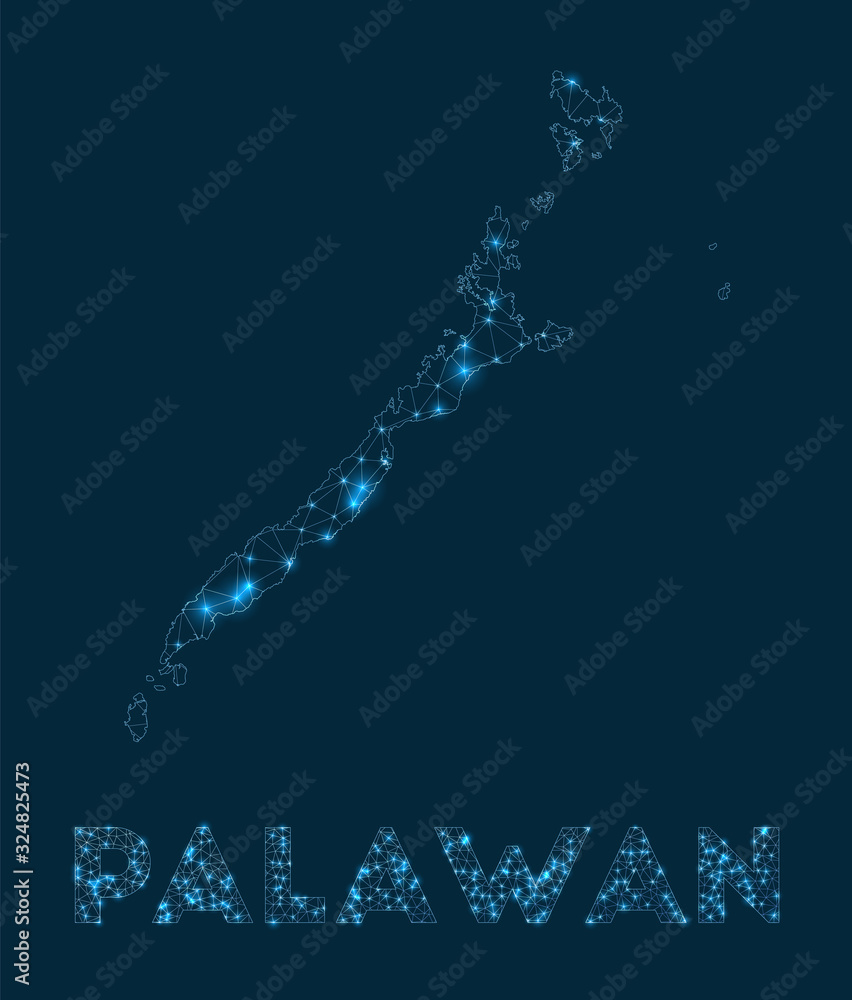 Palawan network map. Abstract geometric map of the island. Internet ...