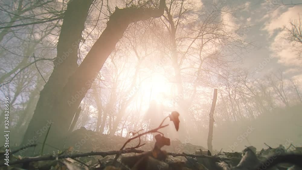 Battlefield scene. Silhouettes of soldiers fighting on East Front ...