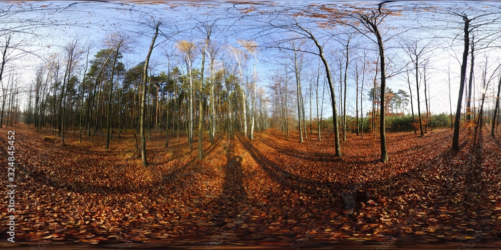 Autumn forest HDRI Panorama Photos | Adobe Stock