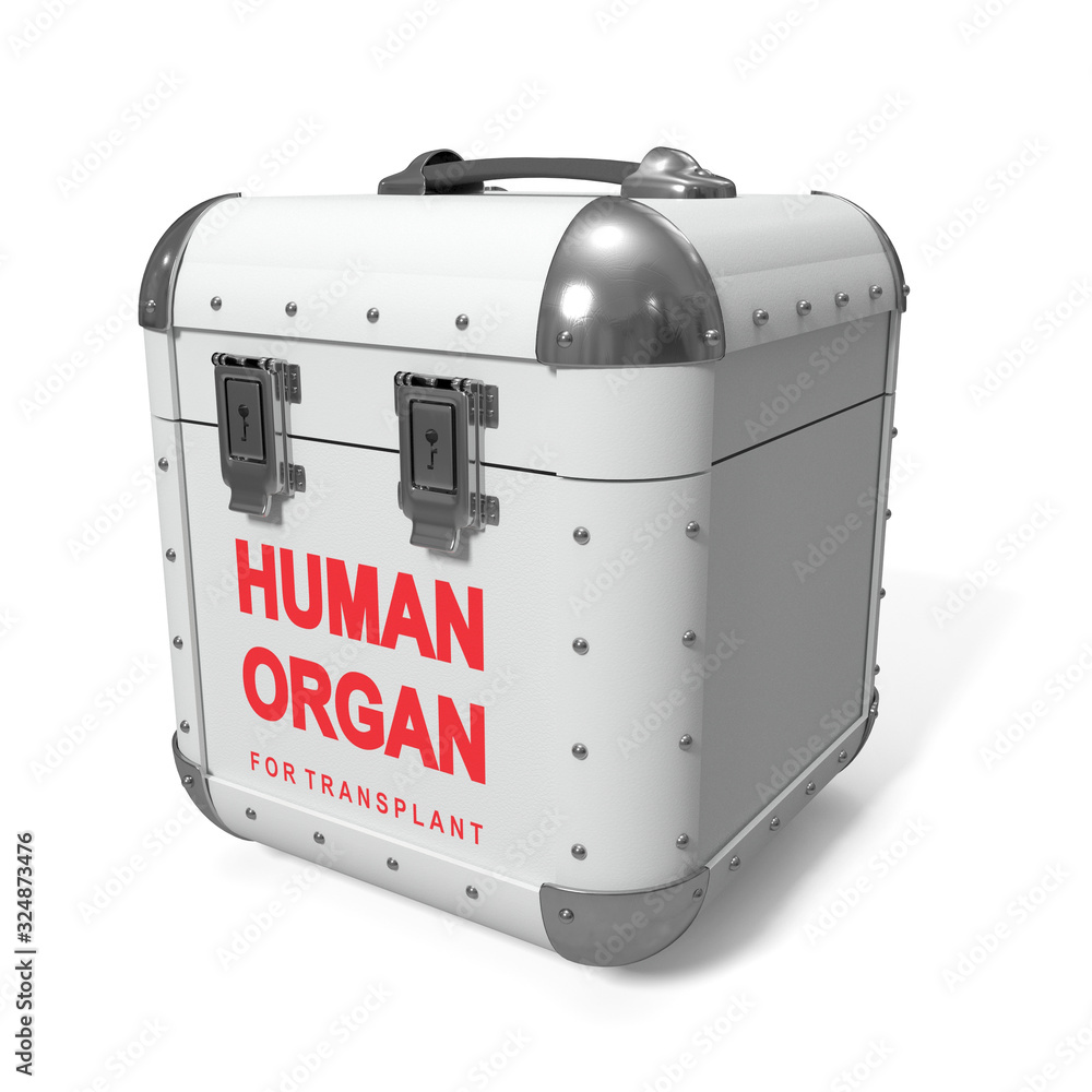 container for transporting human organs Stock Photo | Adobe Stock