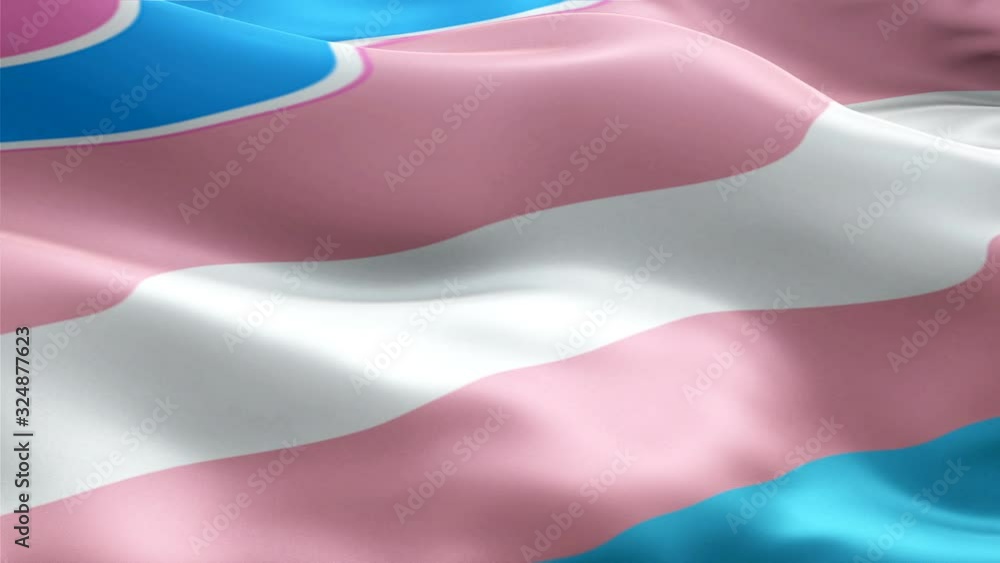 Rainbow Trans Pride Flag video waving in wind. Realistic Transgender ...