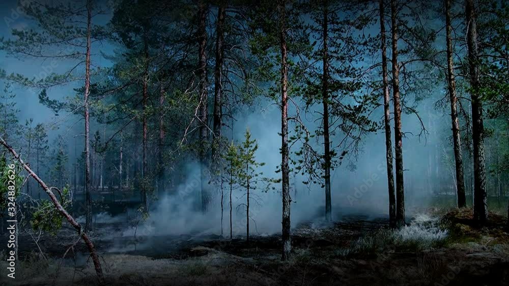 Mystical fog from the fire in the night forest. Terrible burning of a ...