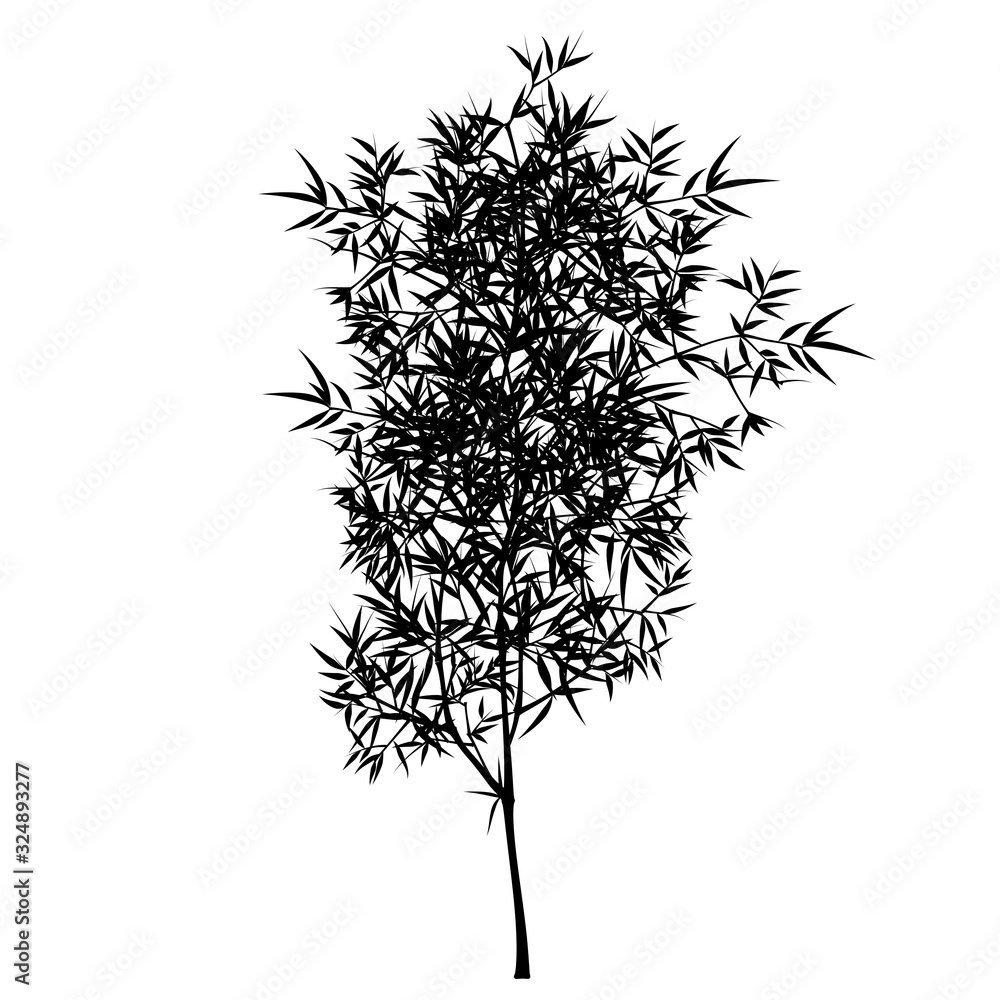 Seamless pattern in black and white of the bamboo, Vector illustration ...
