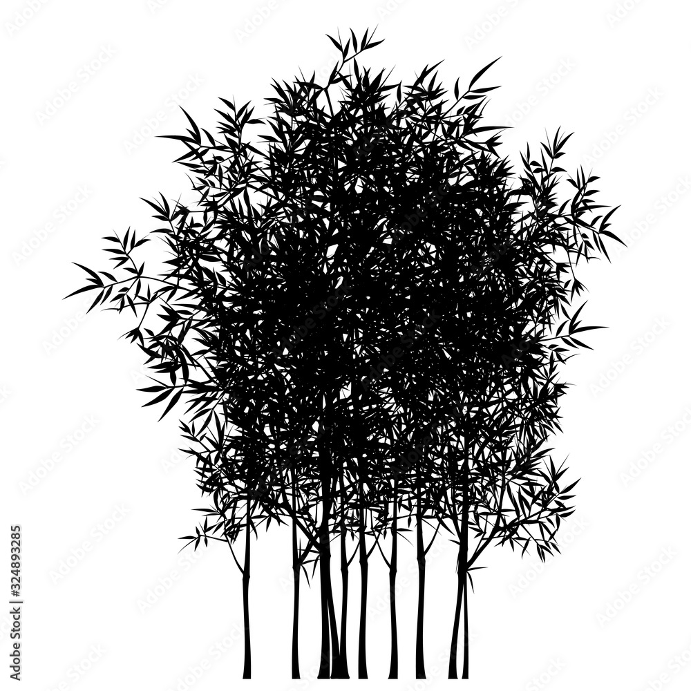Seamless pattern in black and white of the bamboo, Vector illustration ...