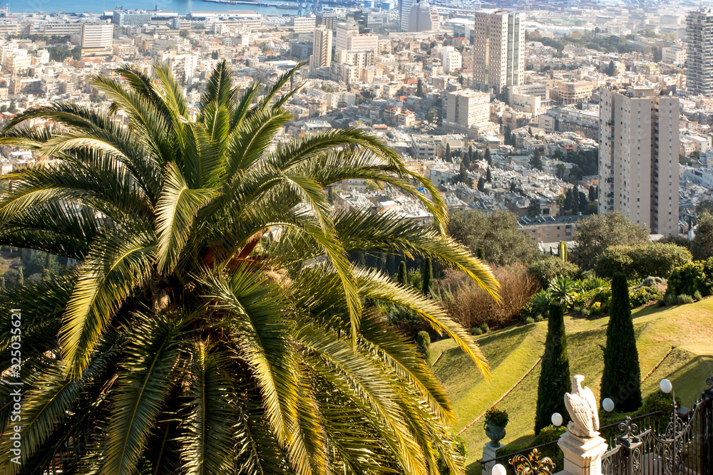 Foto de View of Haifa from the hill. Partly visible gardens of the ...