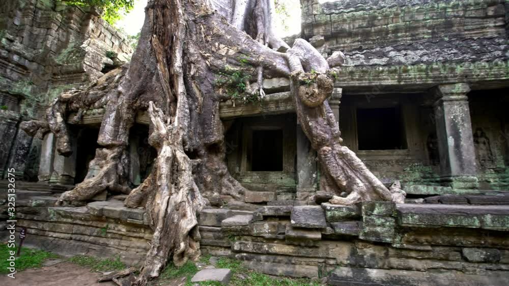 4K, Preah Khan temple with strangler fig. Famous spung tree growing in ...