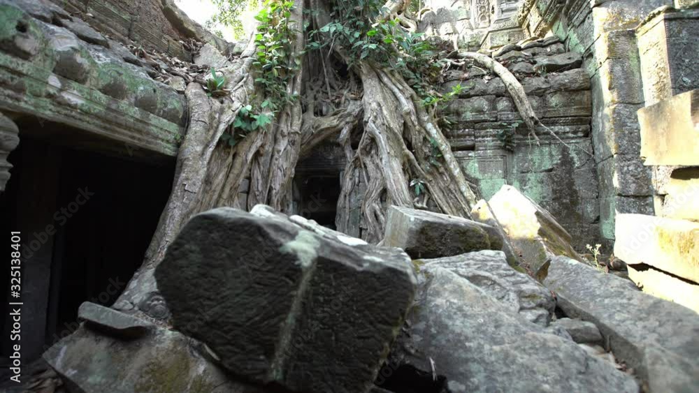 4K, Ta Prohm temple with strangler fig. Famous spung tree growing in ...