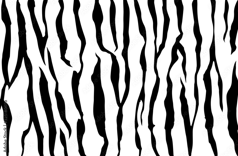Zebra Stripes Pattern. Zebra print, animal skin, tiger stripes texture ...