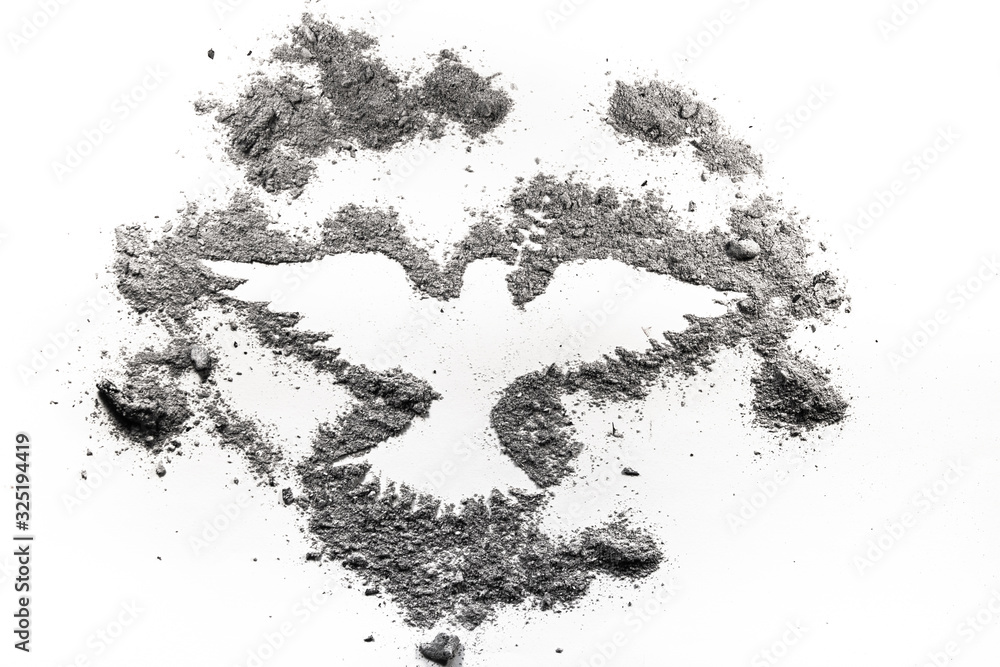 Peace dove, pigeon with olive branch drawing silhouette in ash, dust ...