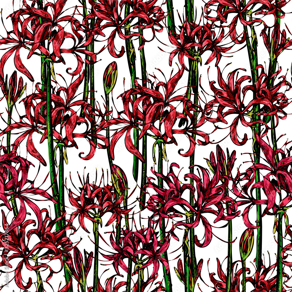 Vintage floral vector seamless pattern. Sketches of Spider lily flowers ...