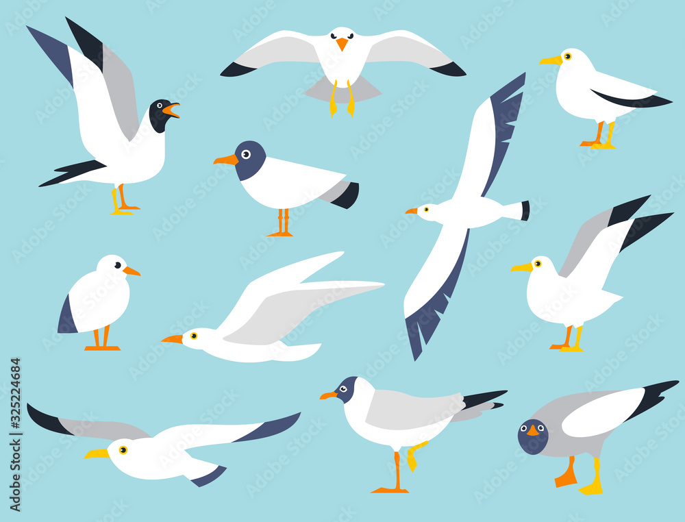 Vector set of beautiful seagulls in a flat style isolated on white ...