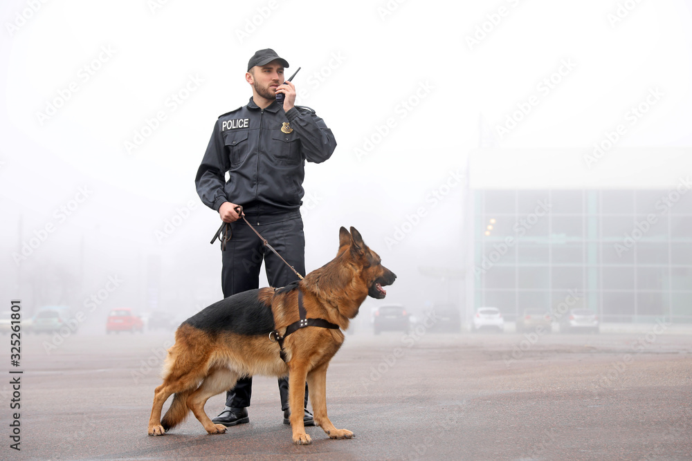 Male police officer with dog patrolling city street Stock Photo | Adobe ...