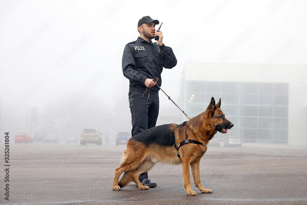 Foto de Male police officer with dog patrolling city street do Stock ...