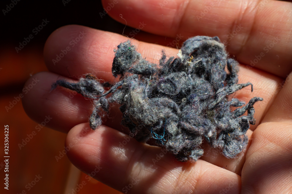 Woman's right hand holding Dust, Fluff, Remnant of clothes on laundry ...