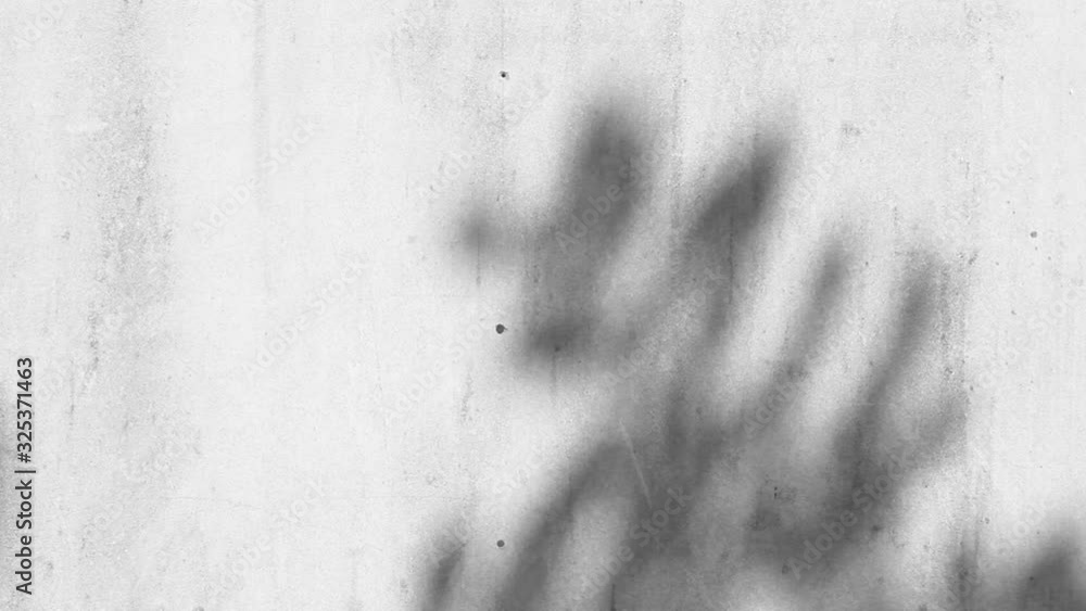 Abstract gray shadow background of natural leaves tree branch falling ...